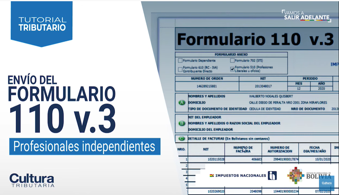 TUTORIAL FORMULARIO 110 V3 – GRUPO DE CONSULTORES